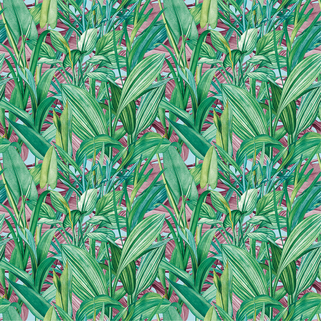 Wallpapers – QUINSAÏ